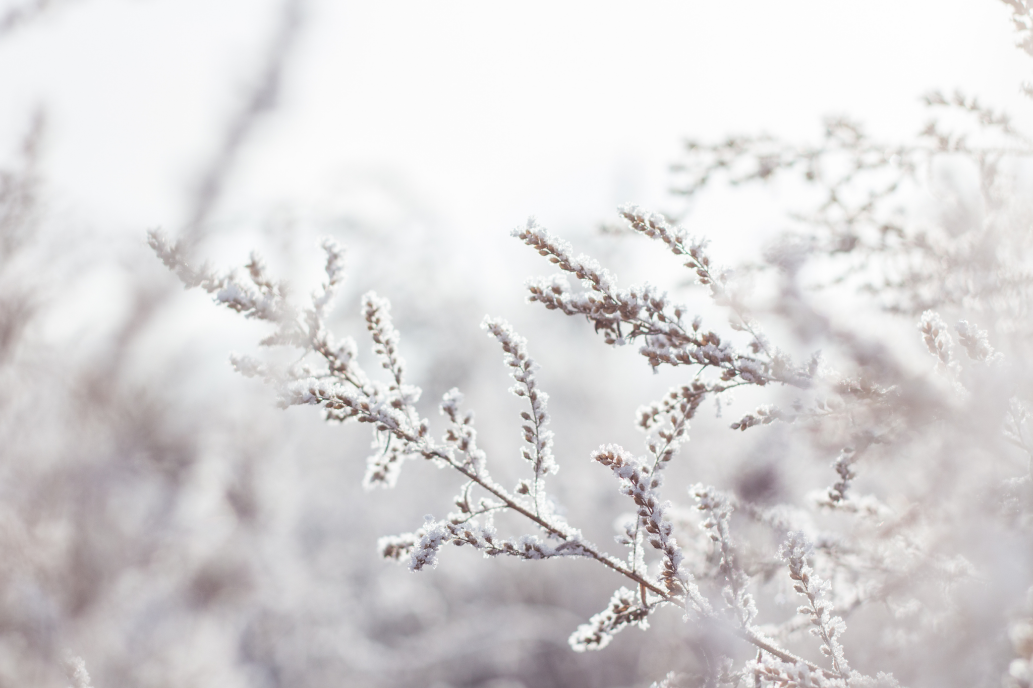 Universal Atlantic Systems - UAS