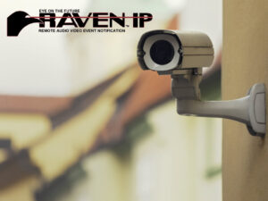 Raven Video Surveillance - UAS